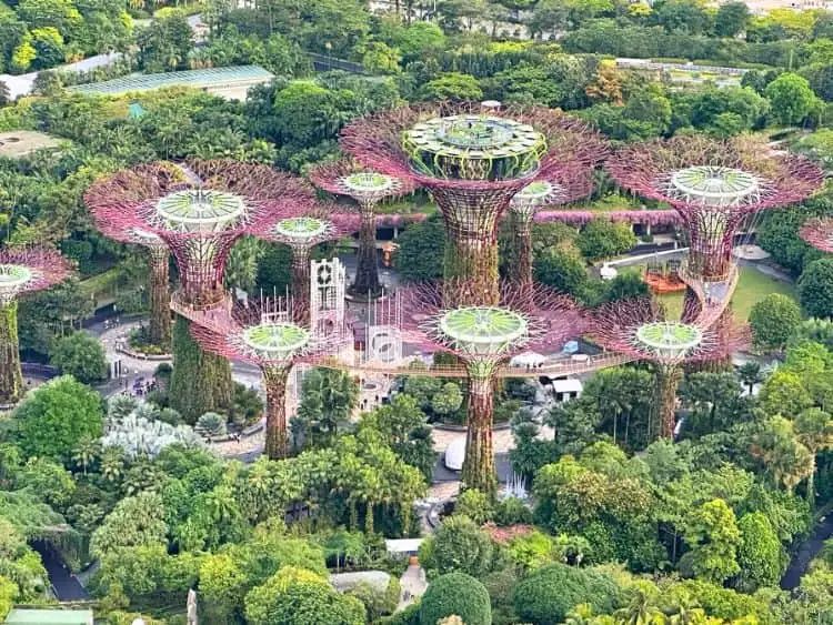 Exclusive Private Singapore Night Tour with River Cruise 2025 | Famous ...